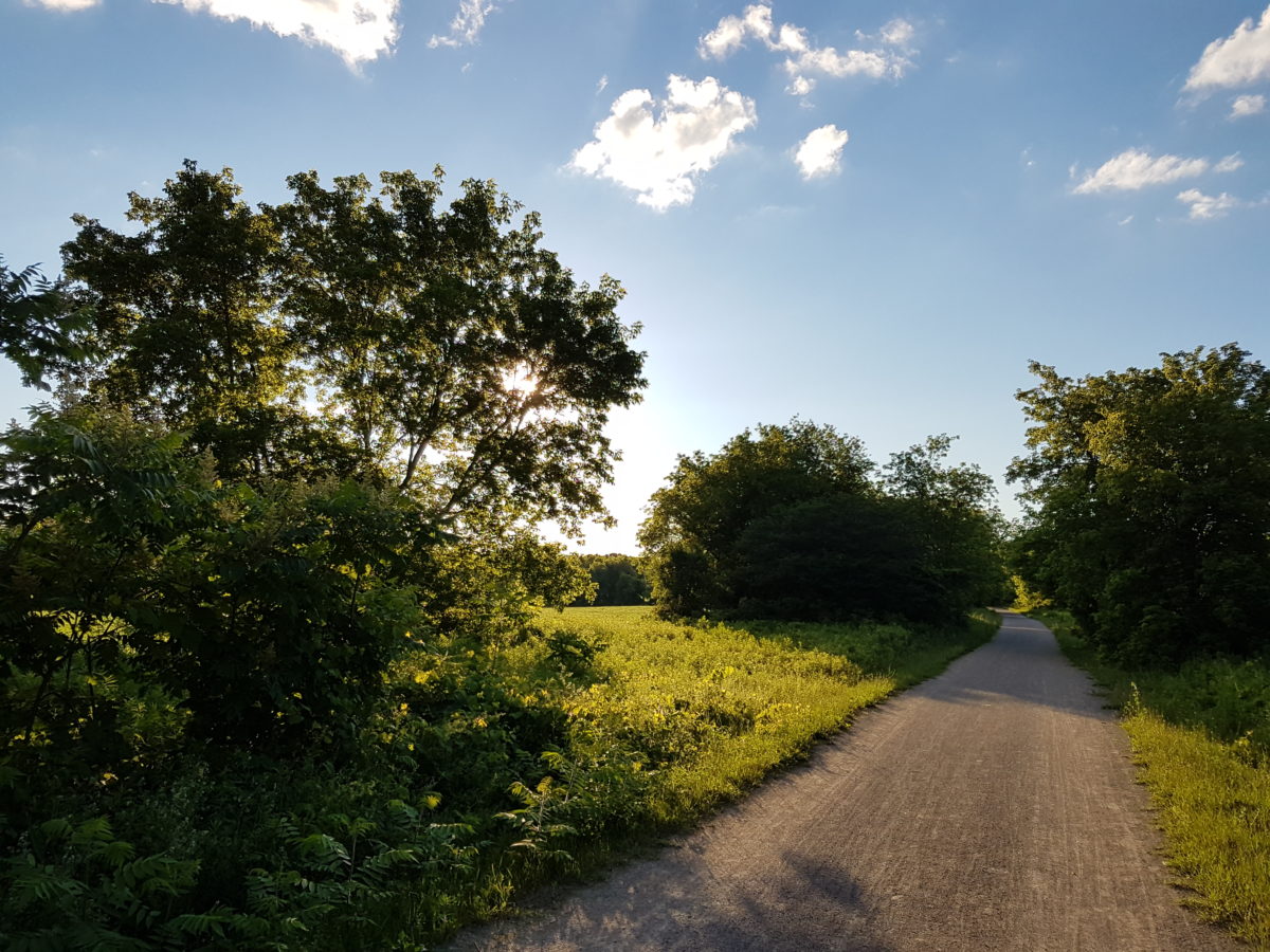 Real Life Archives - The Wehl Blog