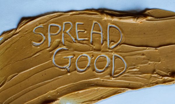 Wehl is officially a B Corporation: Why we’re excited about it!