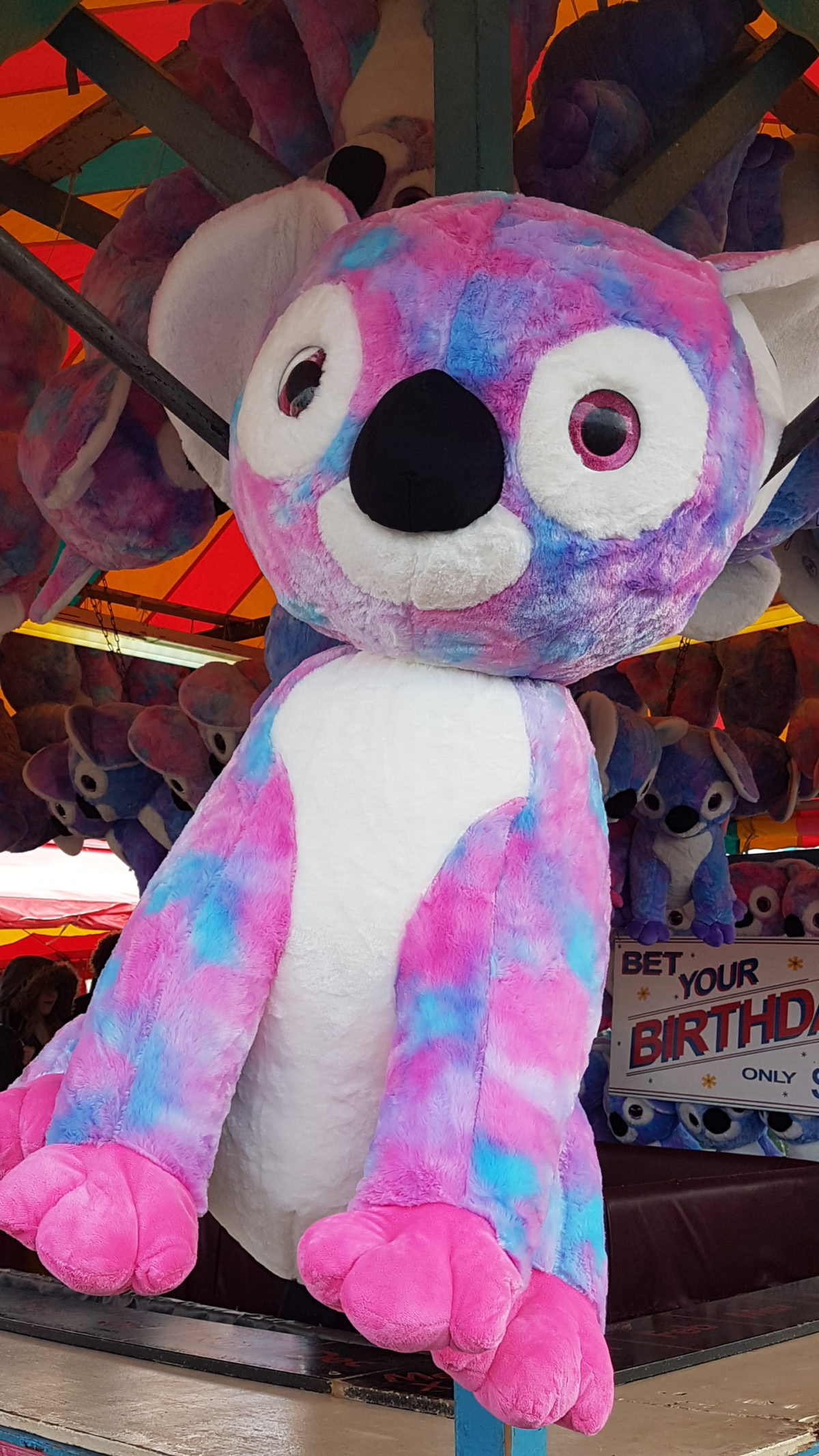 Why Wehl? 14 Reasons Why Wehl is Unique