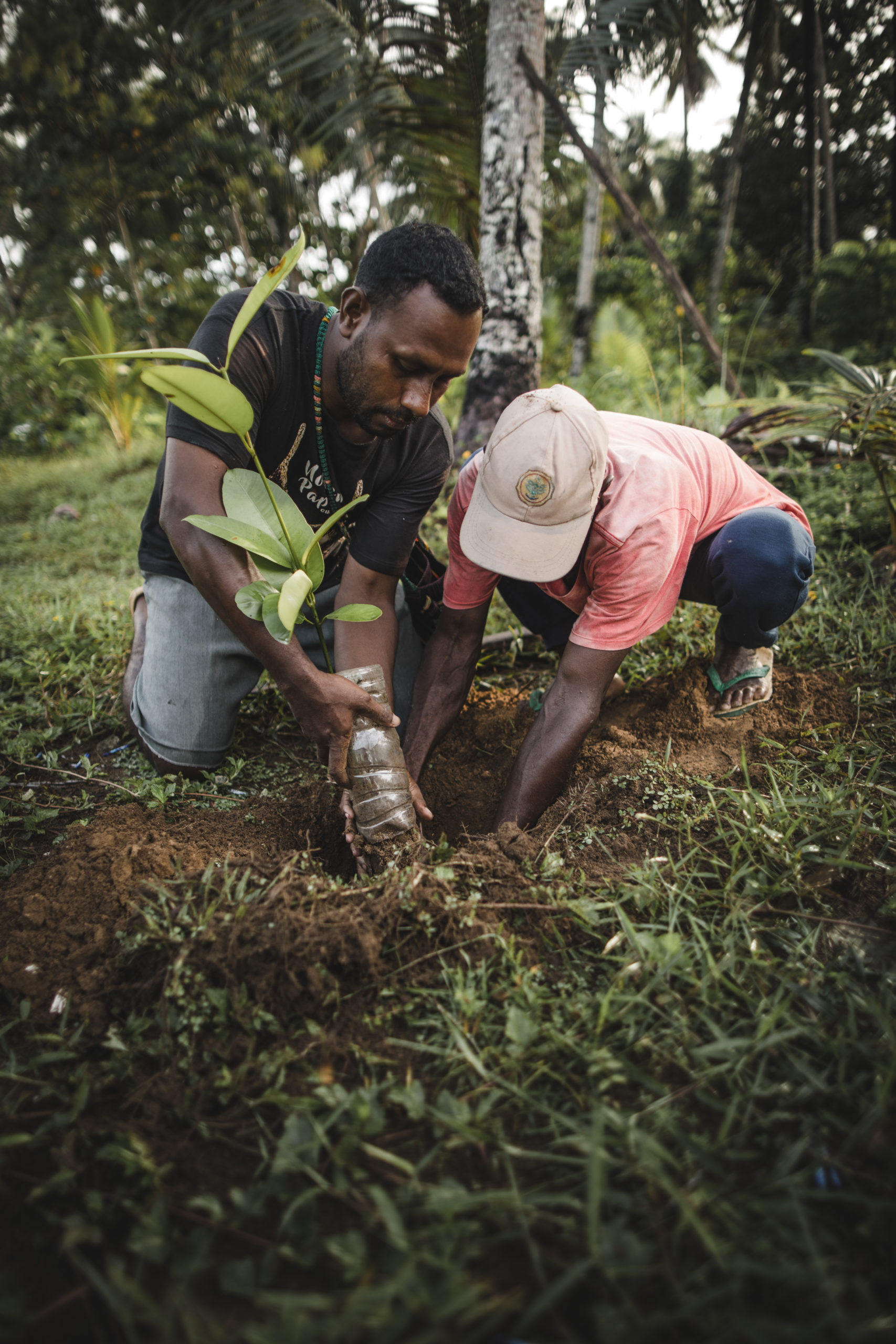 Planting trees for our health and a healthy planet, with tentree